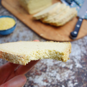 100% Millet Sandwich Bread {vegan, gluten-free, no yeast}| powerhungry®
